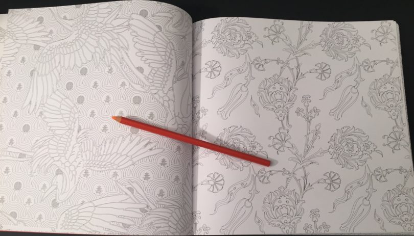 The Colors of Asia Coloring Book Review - Coloring Queen