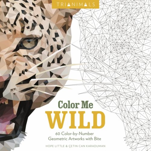 Color Me Wild - Color By Number Coloring Book - Coloring Queen