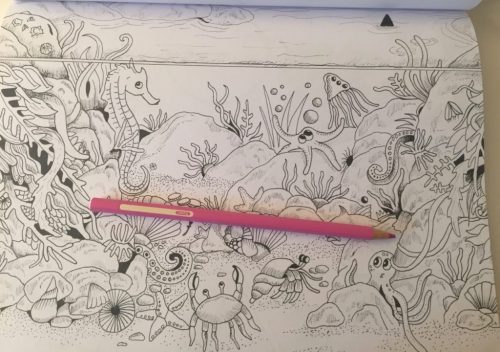 A Day at the Beach: A Summertime Colouring Adventure - Coloring Queen