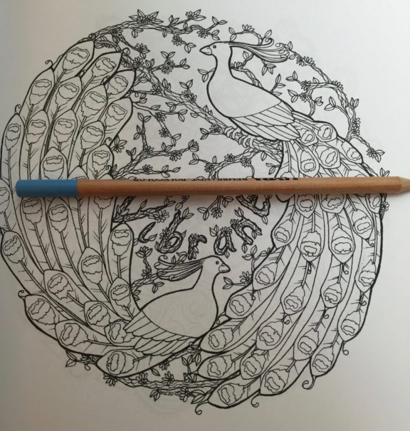 The Calm Colouring Book - Volume 2 - Review - Coloring Queen