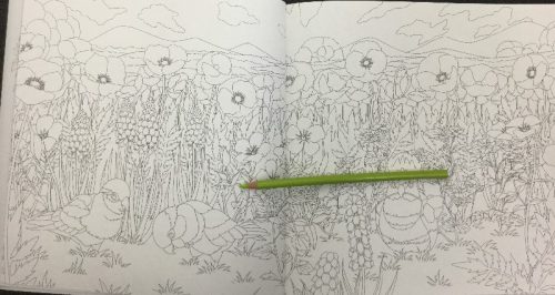 Flowers & Birds Coloring Book Review - Coloring Queen