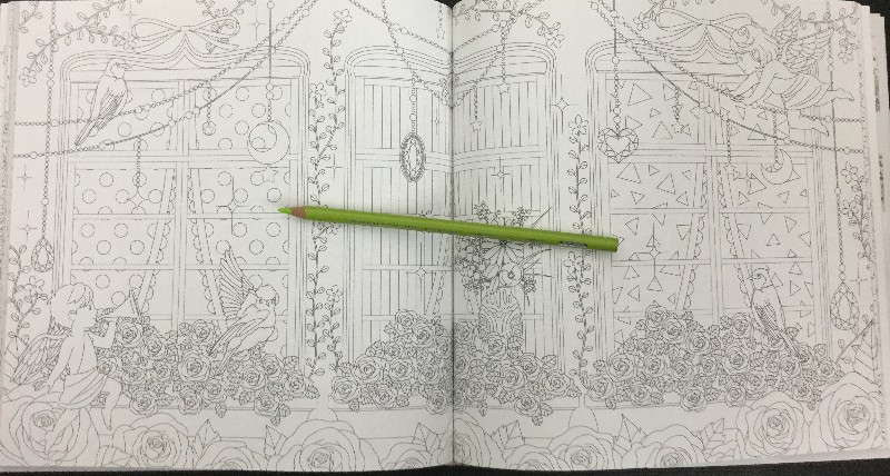 Flowers & Birds Coloring Book Review - Coloring Queen