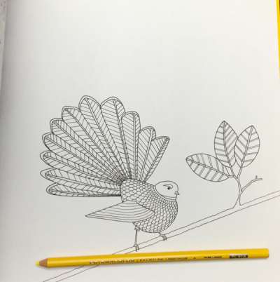 All Good: A New Zealand Colouring Book Review - Coloring Queen