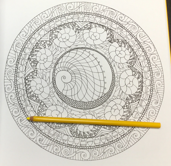 All Good: A New Zealand Colouring Book Review - Coloring Queen