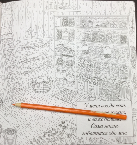 Natalia Pokatilova: The Magic Room Coloring Book Review - Coloring Queen