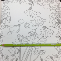 Once Upon A Time Coloring Book Review - Coloring Queen
